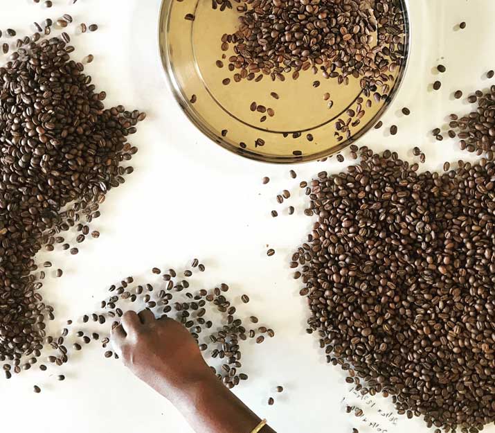 Nandan Coffee